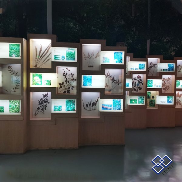 Natural museum design plant exhibition hall design | Guangzhou Pinzhi ...
