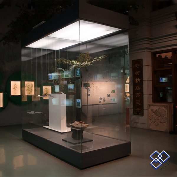 Natural museum design plant exhibition hall design | Guangzhou Pinzhi ...